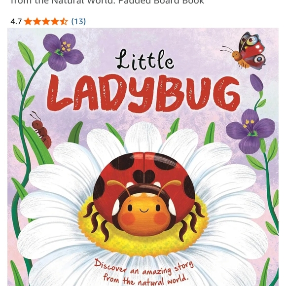 Toys | Little Ladybug Padded Board Book | Poshmark